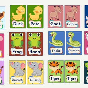40 Bilingual Animal Flash Cards for Preschoolers English & Spanish ...