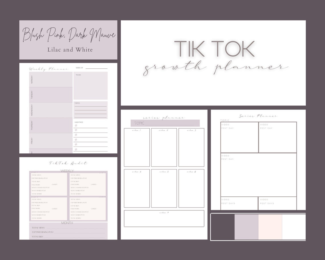 Tiktok Printable Growth Planner and Tracker, Content Creator Planner ...