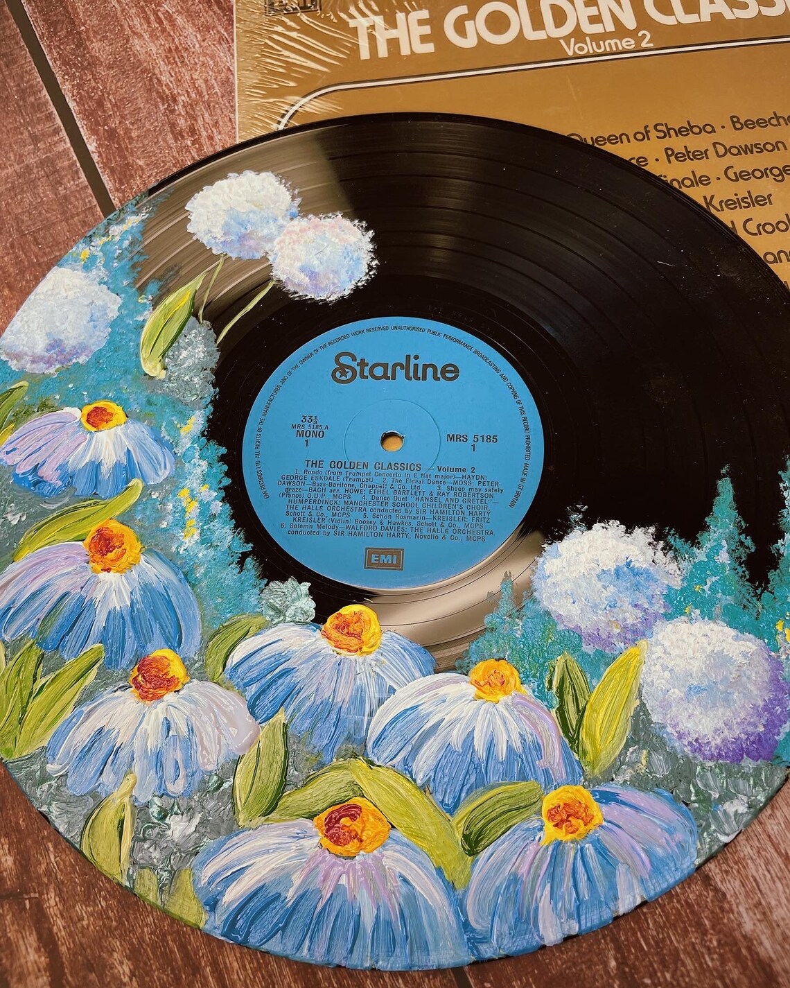 Hand-painted Vinyl Record Unique Home Decor Upcycle Reused Sustainable ...