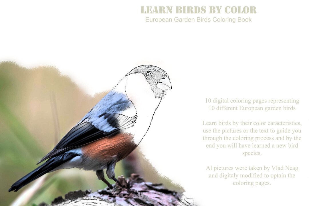 Learn Birds by Color; Digital Coloring Book; 10 European Garden Birds ...