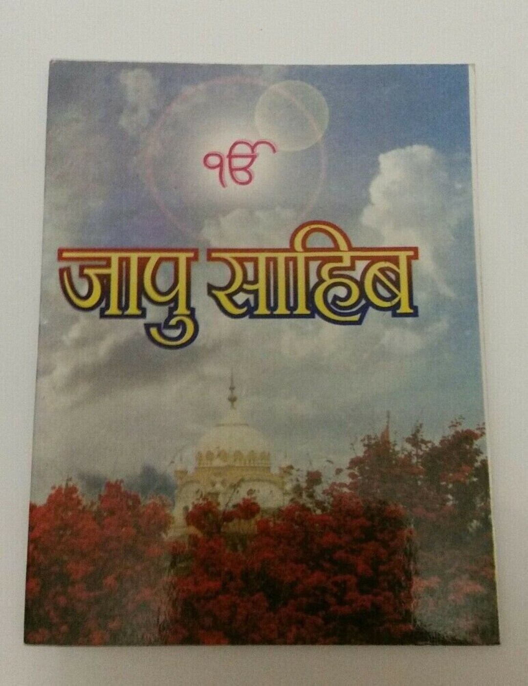 Sikh Jaap Sahib Ji Bani Morning Prayer Gutka Hindi Paperback - Etsy