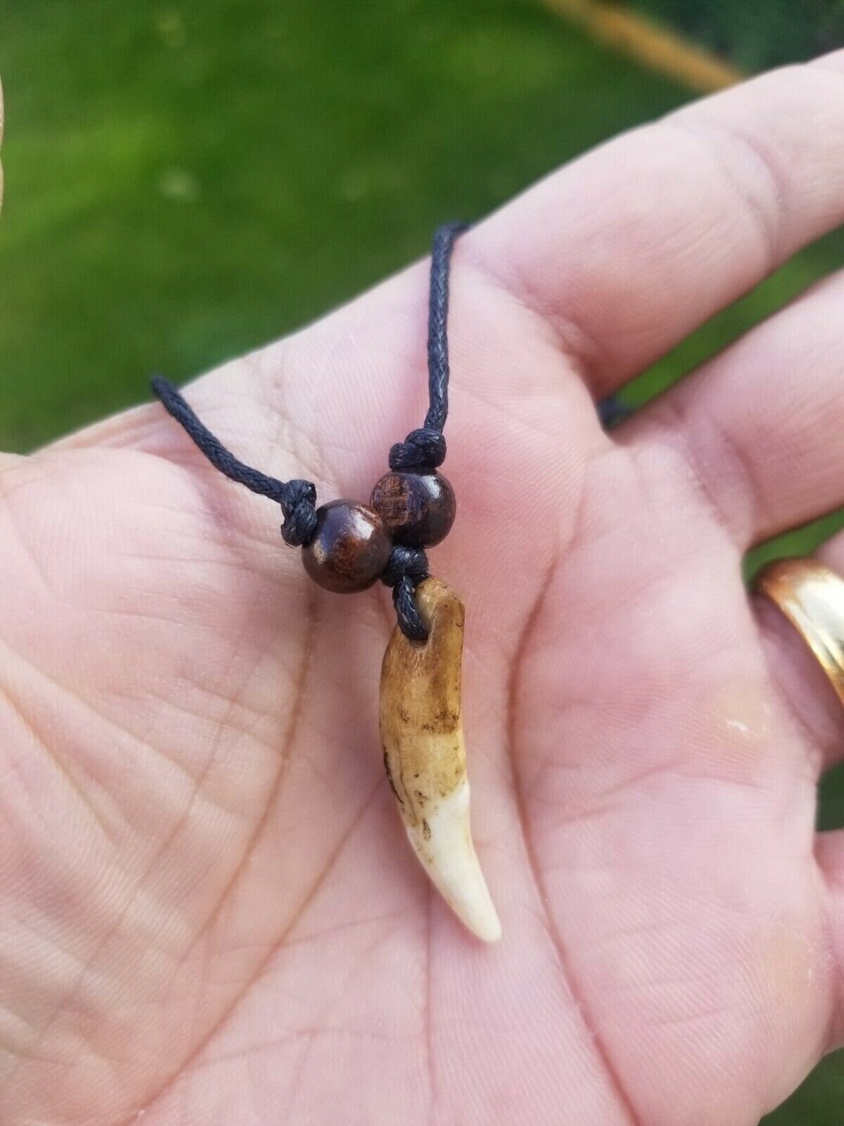 Genuine Wolf Tooth Necklace