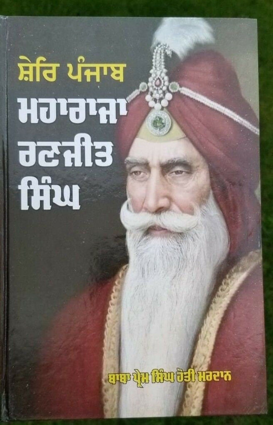 Shere Punjab Maharaja Ranjit Singh Sikh Book Baba Prem Singh - Etsy