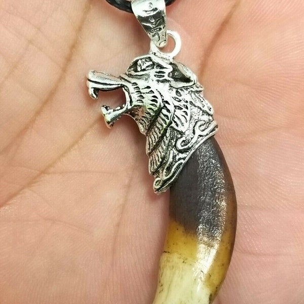 Wolf Tooth Necklace - Etsy