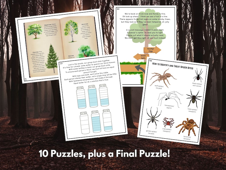 Camping Themed Escape Room Outdoors Escape Room, Escape Room for Adults ...