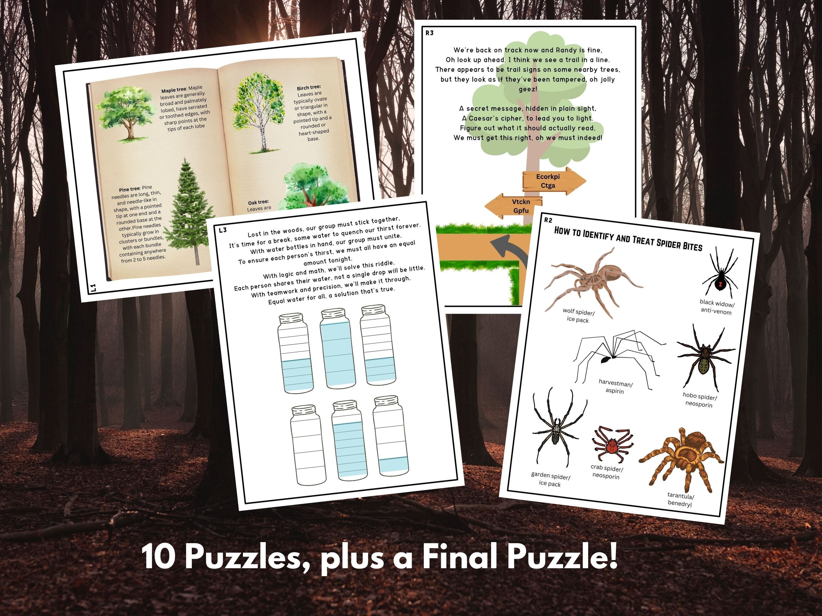 Camping Themed Escape Room Outdoors Escape Room, Escape Room for Adults ...