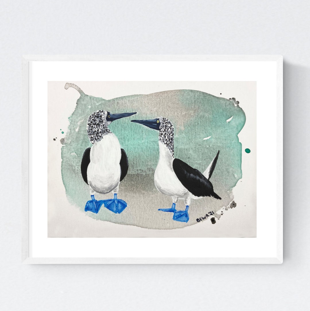 Blue-footed Booby Pair Print, 9x12, Animal Wall Art, Bird Art, Bird ...