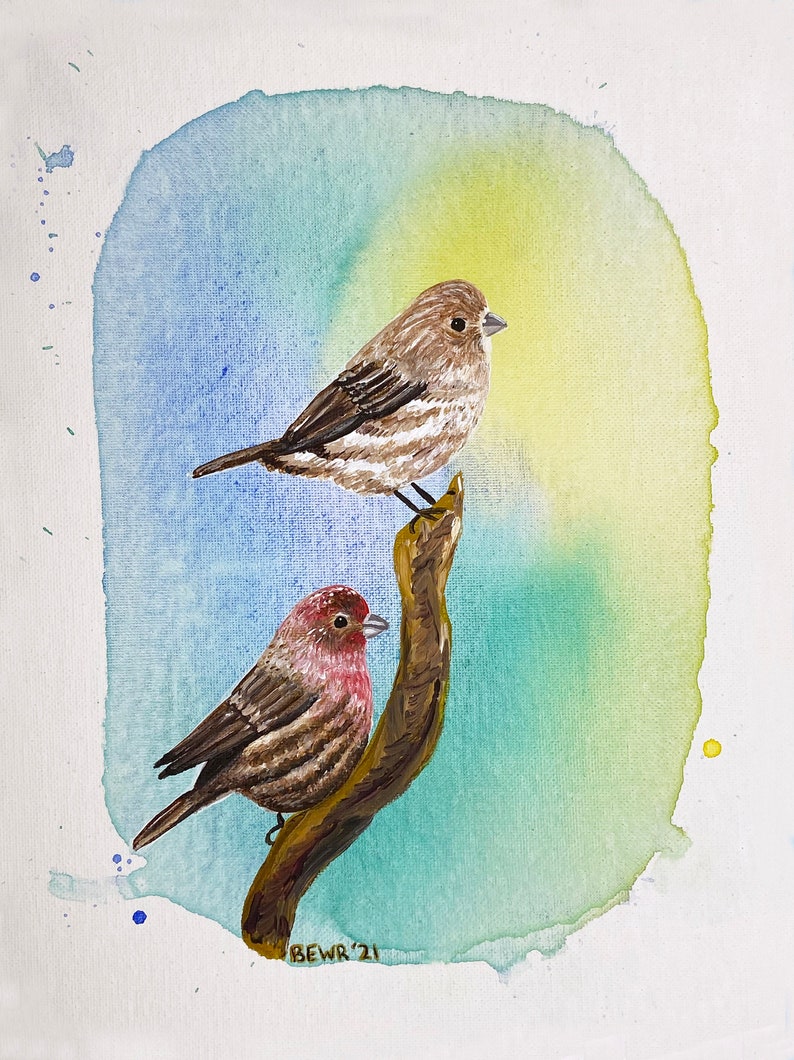 House Finches Art Print Home Decor 9x12, Animal Wall Art Nature Prints ...