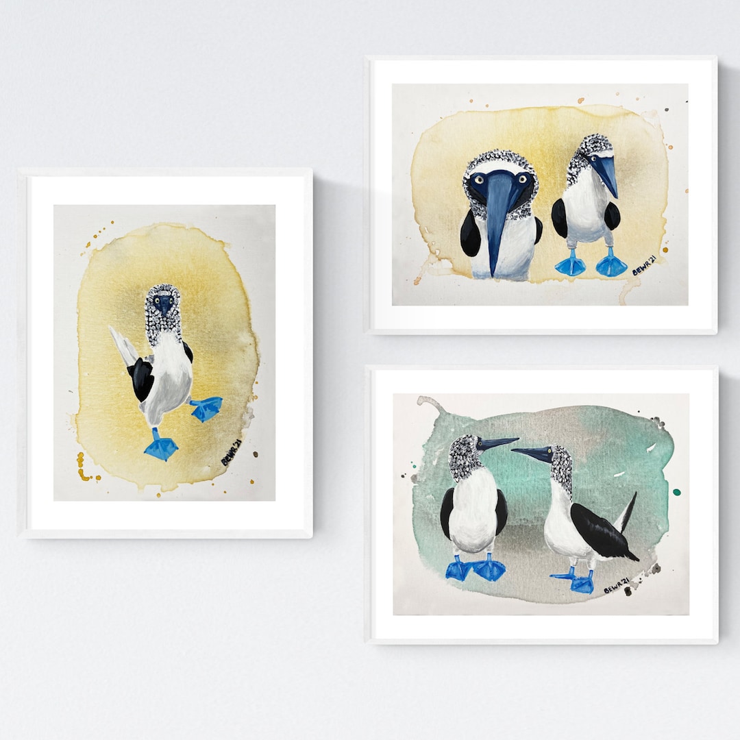 Set of 3 Blue-footed Booby Prints, 9x12, Animal Art Prints, Animal Wall ...