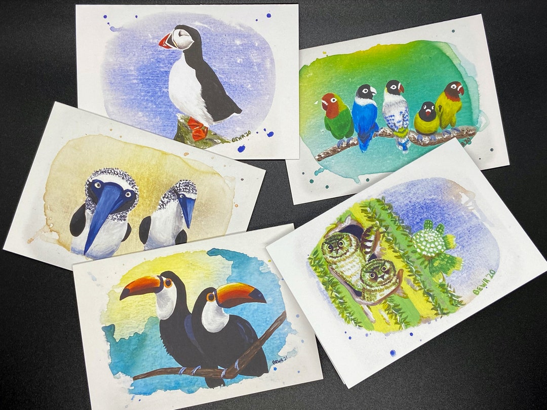 Bird Art Assorted Note Card Set of 10 With Envelopes, 3x5, Nature ...