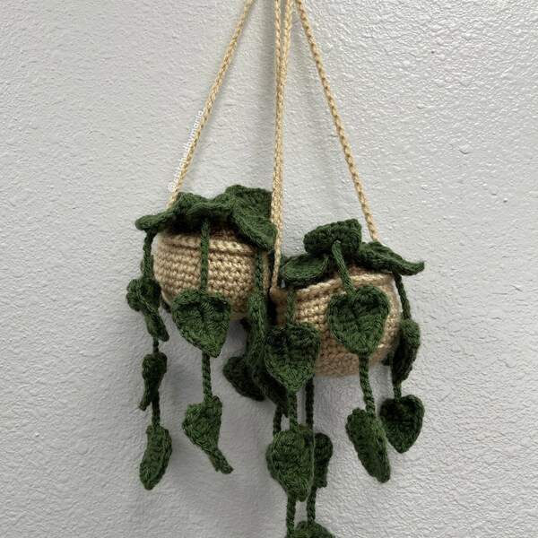 Crochet Potho Plant Pattern - Etsy