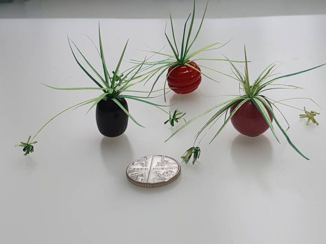 Dolls House Miniature Spider Plant. - Etsy