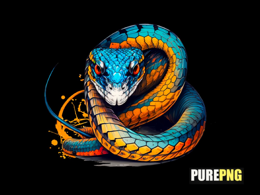 Colorful Snake PNG: Sublimation Clipart for Commercial Use (digital ...
