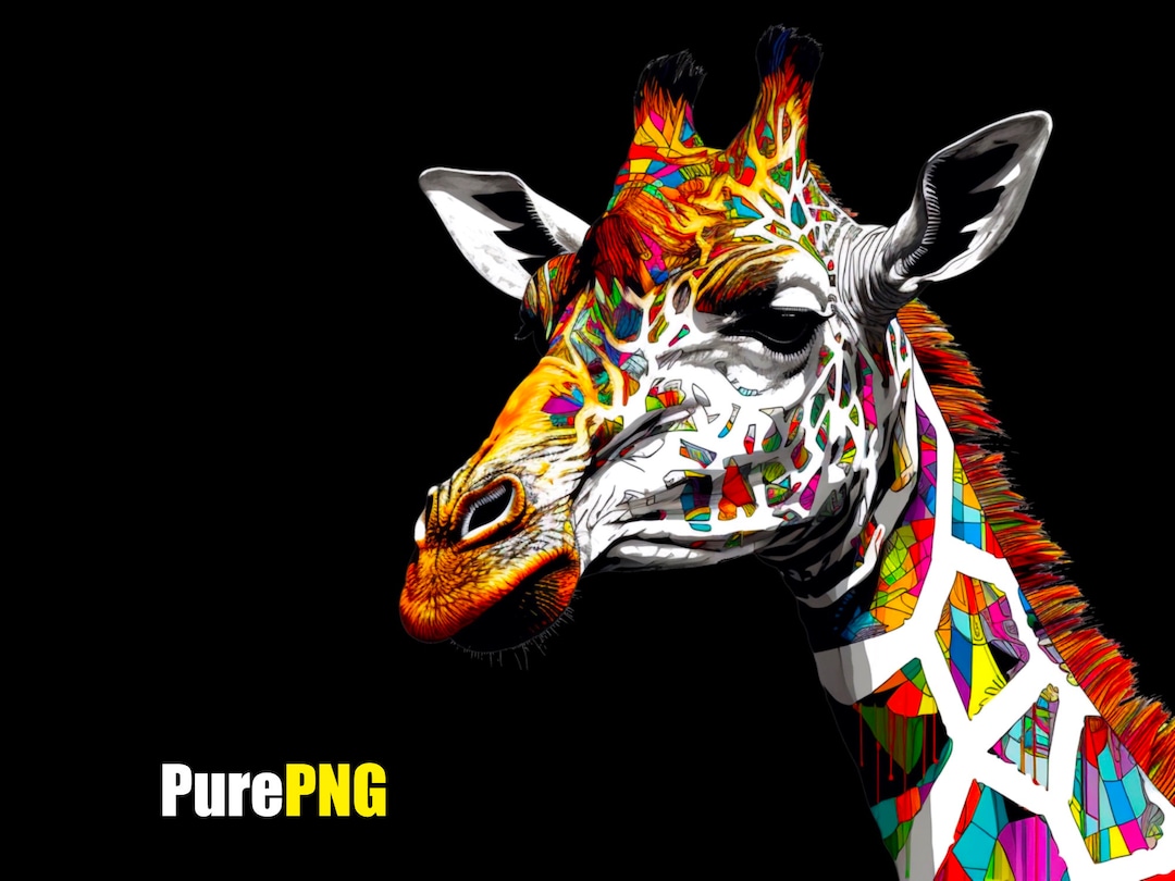 Giraffe PNG Giraffe Clipart Png File Transparent Background Colorful ...