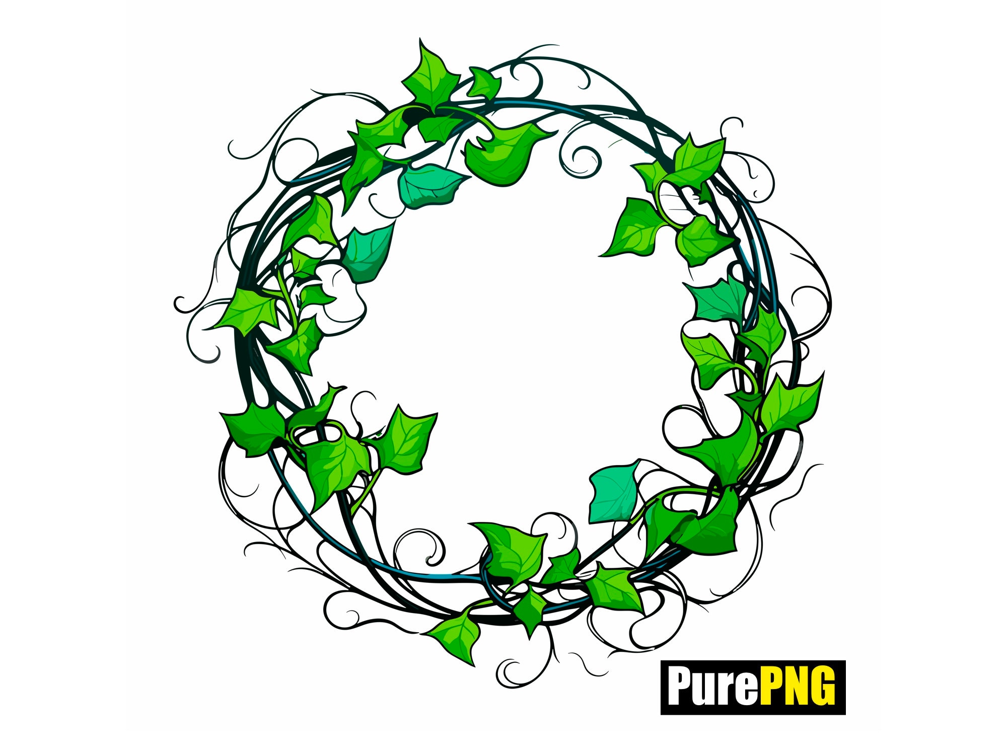 Ivy Clipart Png Transparent Background, Ivy Plant Design for ...