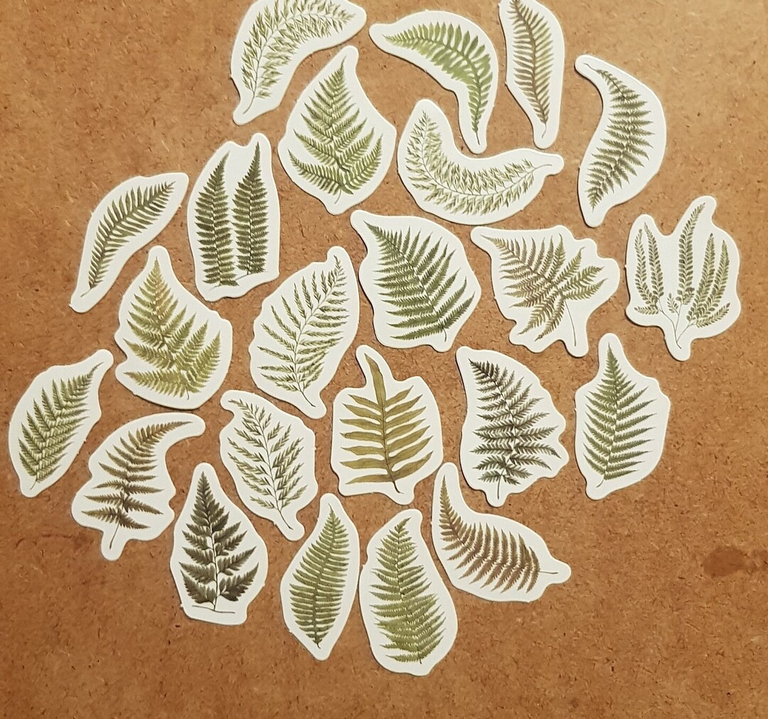 Sticker Set | 23 Fern Stickers - Etsy