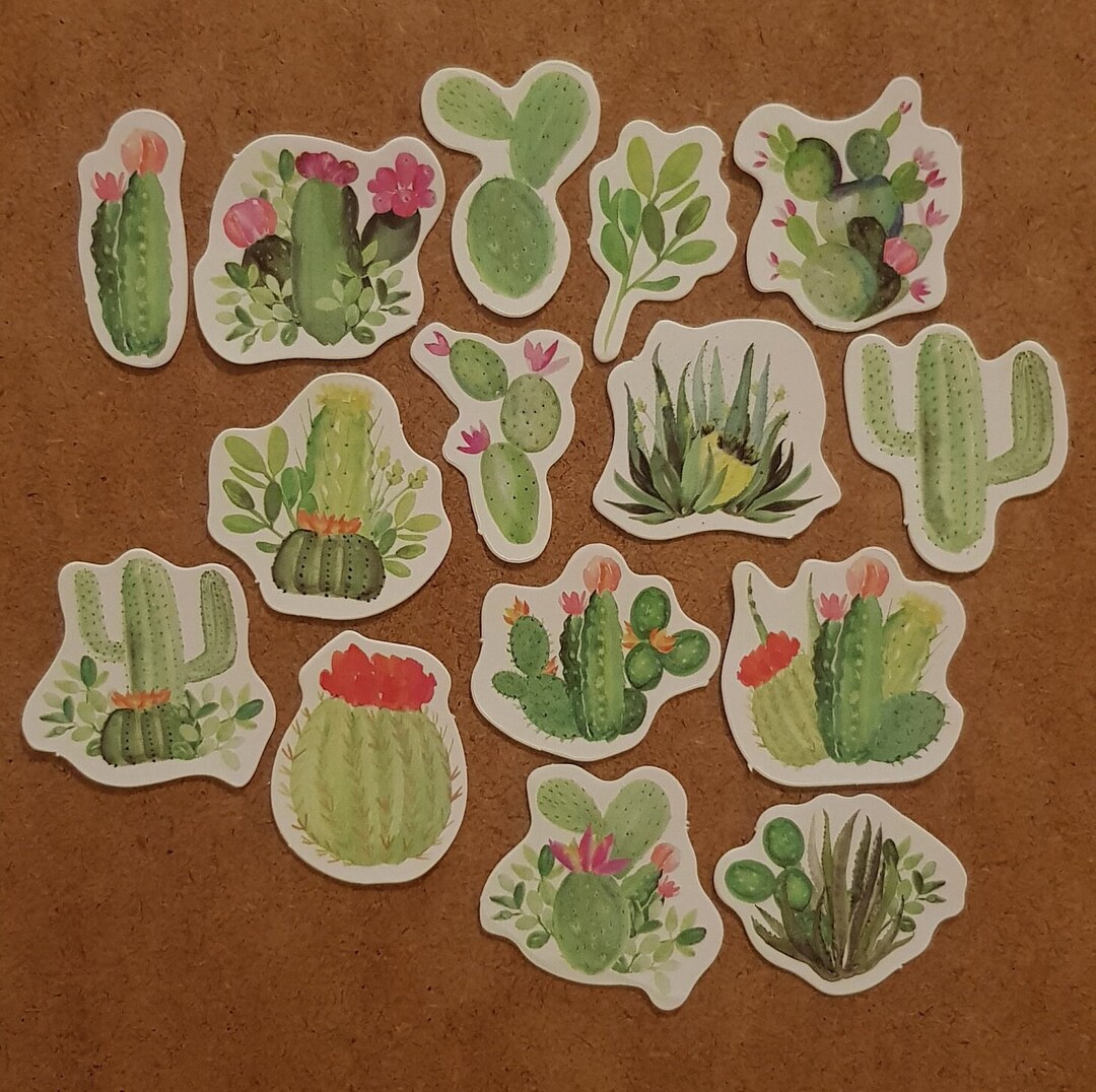 Sticker Set 15 Cactus Cacti - Etsy