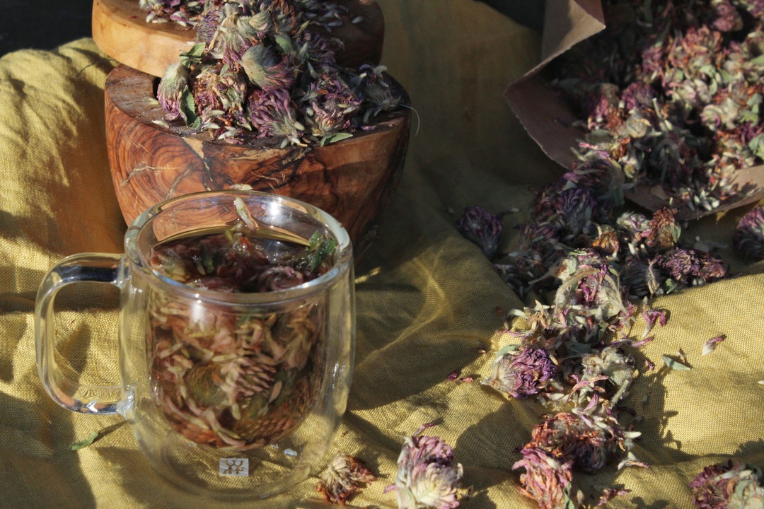 Organic Dried Red Clover Flowers (trifolium Pratense) - Etsy