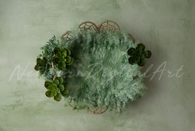 Newborn Digital Backdrop Newborn Succulent Prop Newborn | Etsy