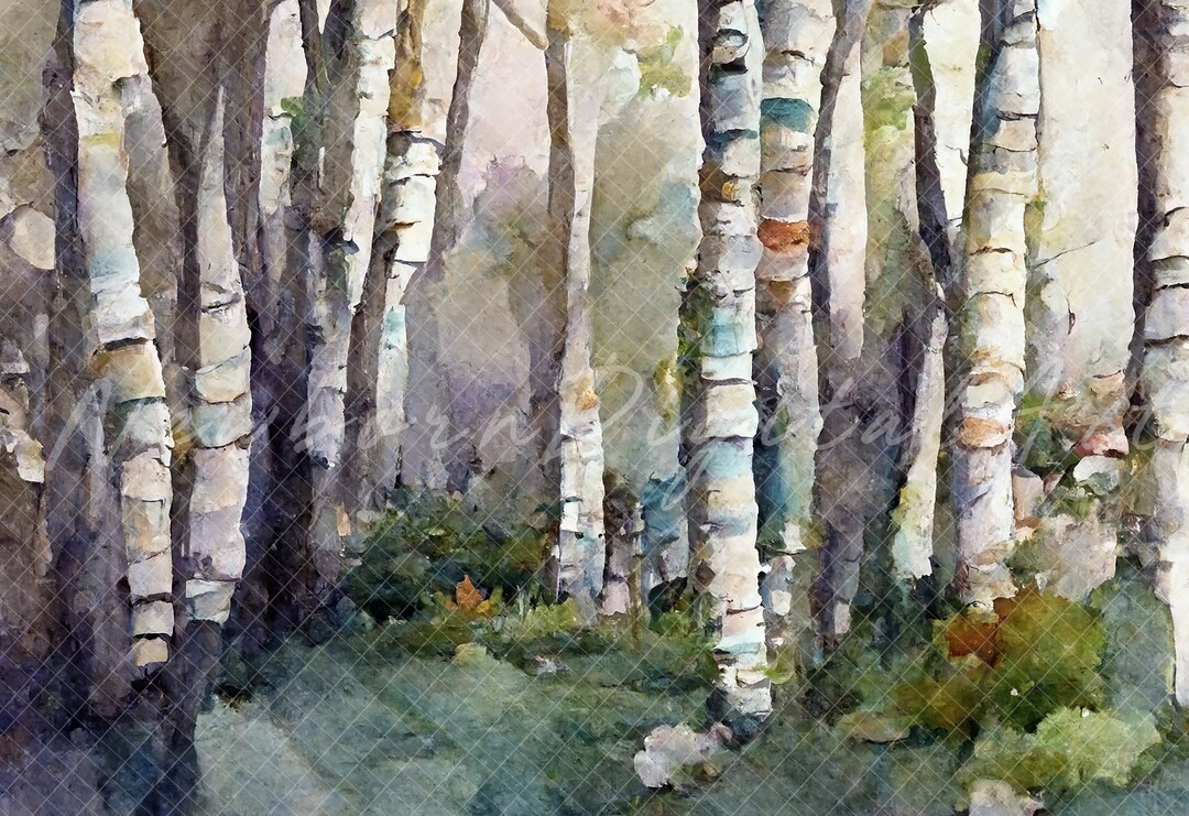 Woodland Backdrop, Birch Tree Backdrop, Digital Backdrop, Forest ...