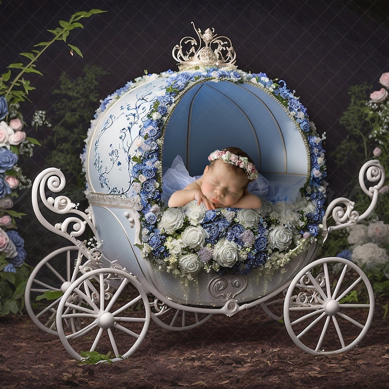 Cinderella Backdrop - Etsy