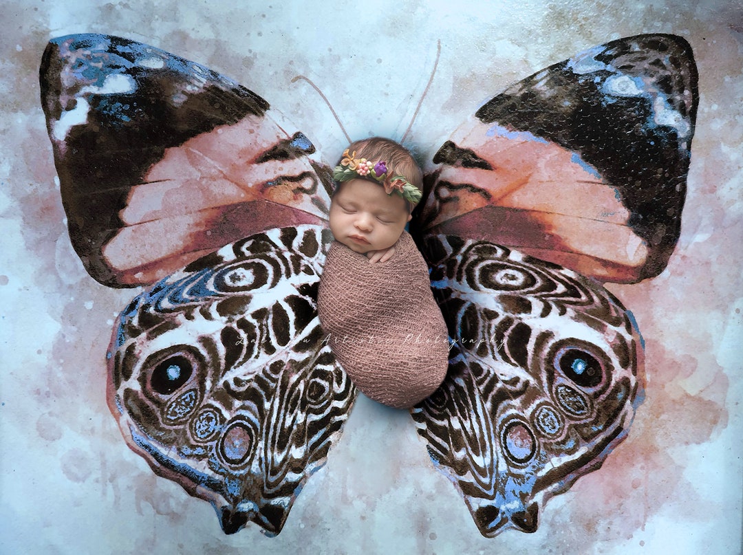 Newborn Digital Backdrop, Newborn Butterfly Wings Backdrop, Newborn ...
