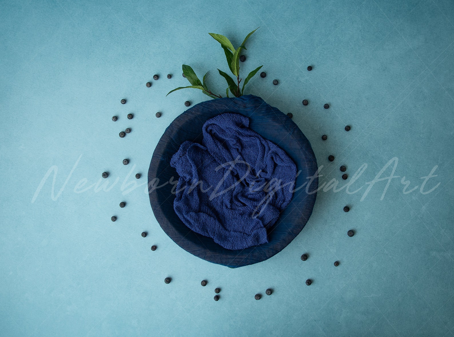 Newborn Digital Backdrop, Newborn Blueberry Prop, Newborn Background ...