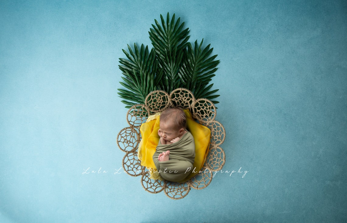 Newborn Digital Backdrop, Newborn Pineapple Prop, Newborn Background, Digital Prop, Newborn ...