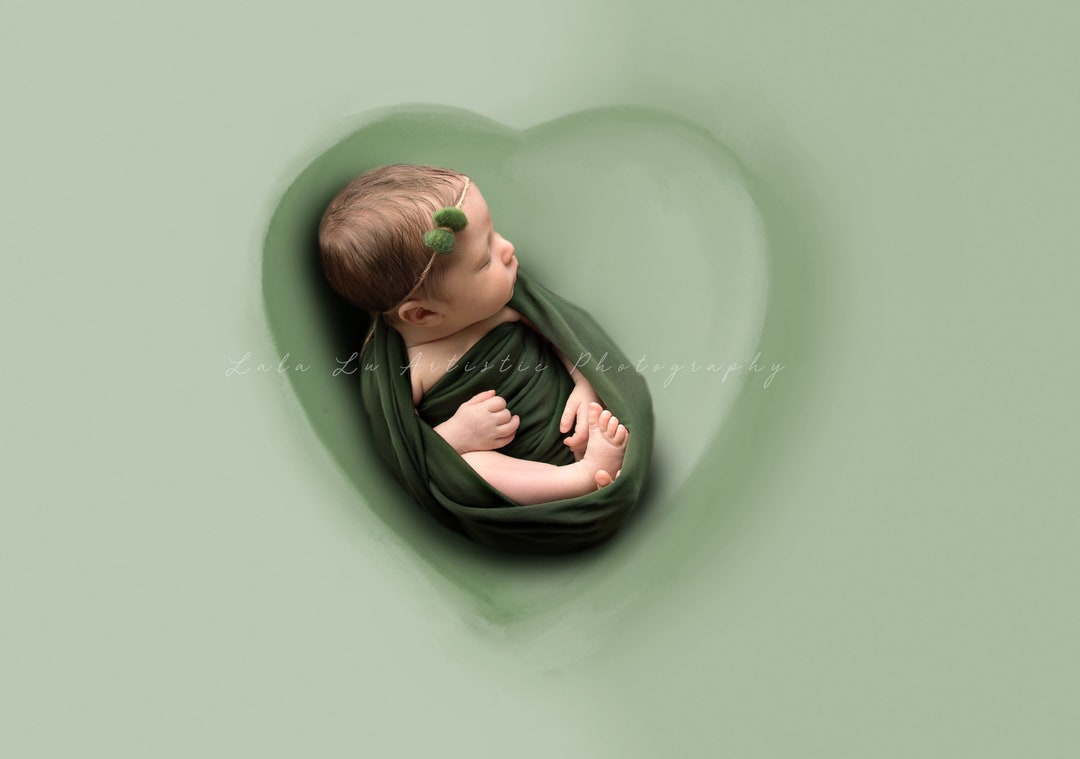 Newborn Digital Heart, Beanbag Heart Prop, Newborn Digital Backdrop ...
