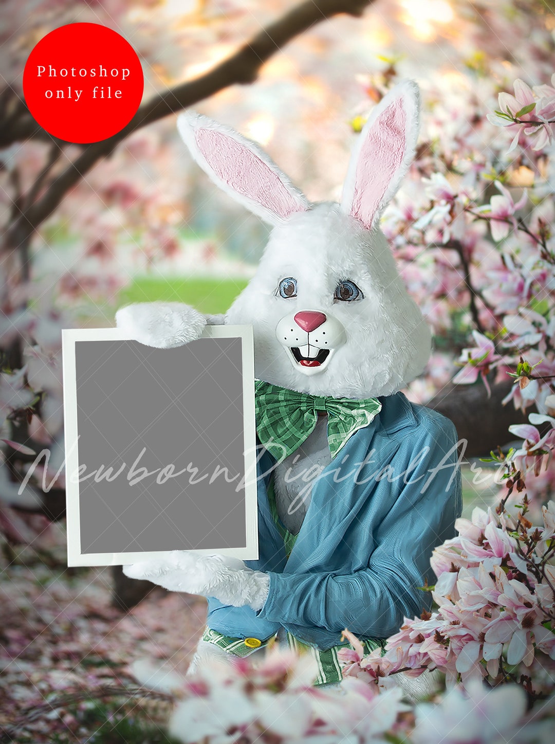 Easter Bunny Digital Backdrop, Easter Bunny With Frame, Easter Bunny ...