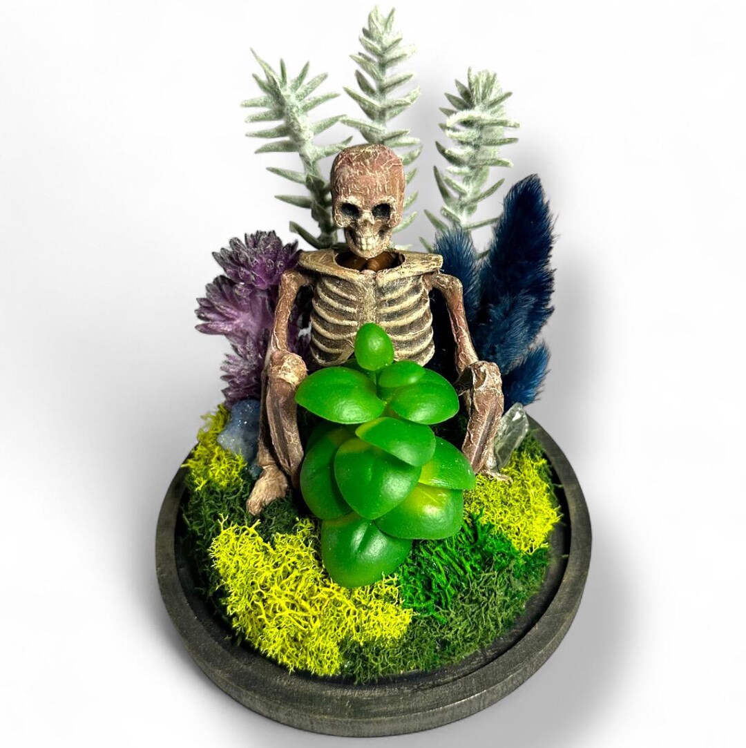 Cemetarium, Mummfied Skeleton Cemetery Terrarium, Witch Curiosity ...