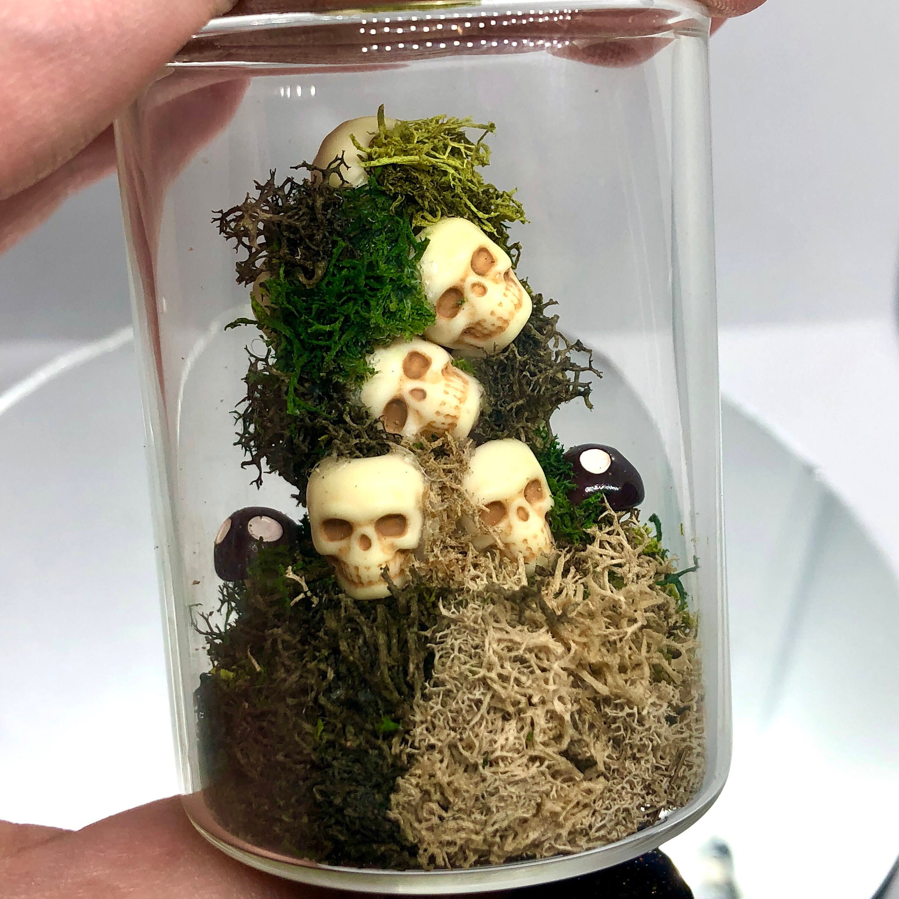 Mini Cemetarium, Skull Carin Boneyard Terrarium - Etsy