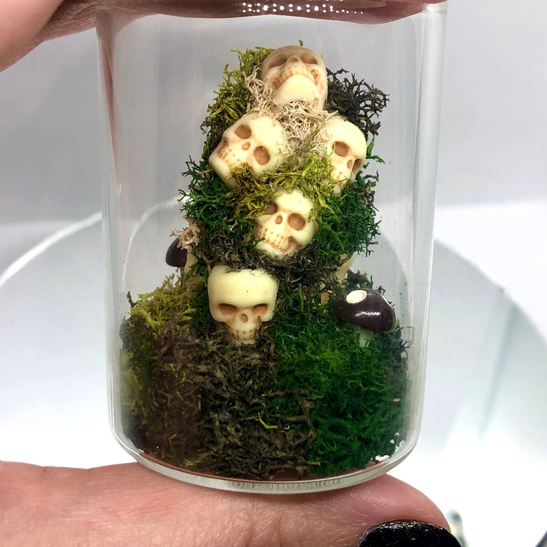 Mini Cemetarium Skull Carin Boneyard Terrarium - Etsy