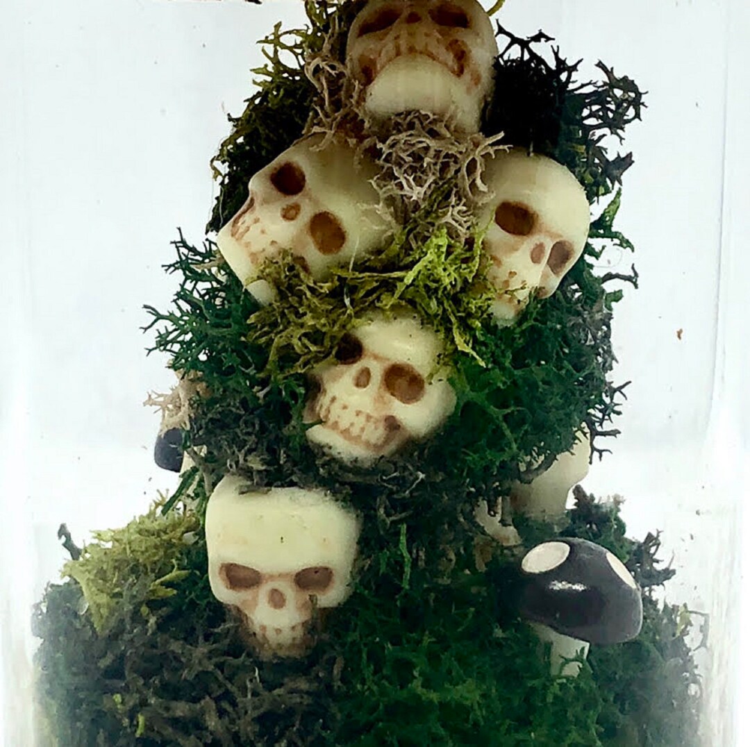 Mini Cemetarium, Skull Carin Boneyard Terrarium - Etsy