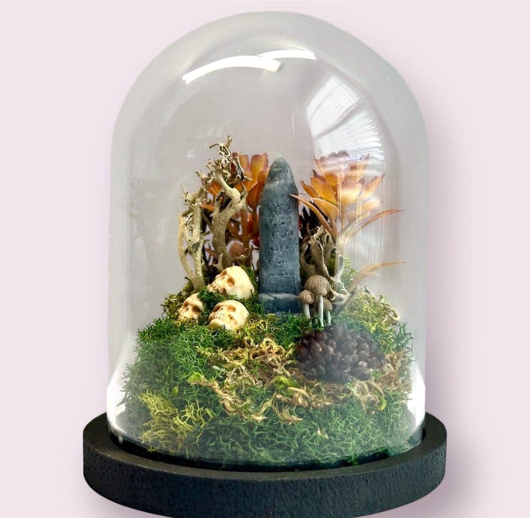 Cemetarium, Skull and Bones Cemetery Terrarium Planter, Witch Curiosity ...