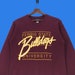 Vintage 90s the Ferris State Bulldogs (FSU Bulldogs) Sweatshirt ...