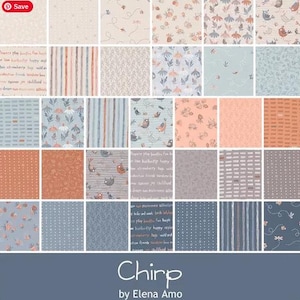 Chirp Charm Pack- Elena Amo for Moda Fabric - Modern Quilt Fabric, Bird ...