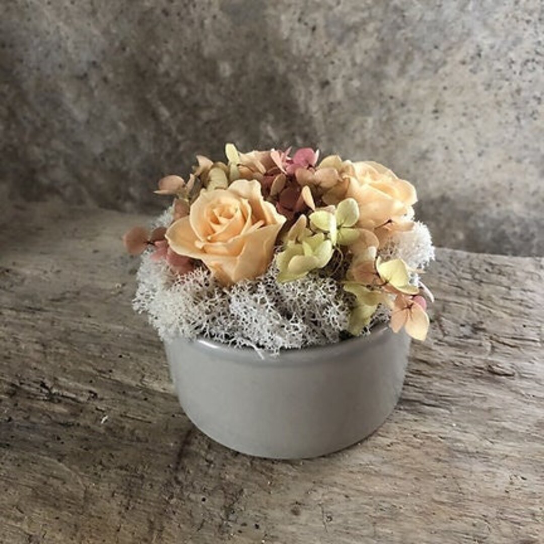 Pot of Eternal Flowers - Etsy