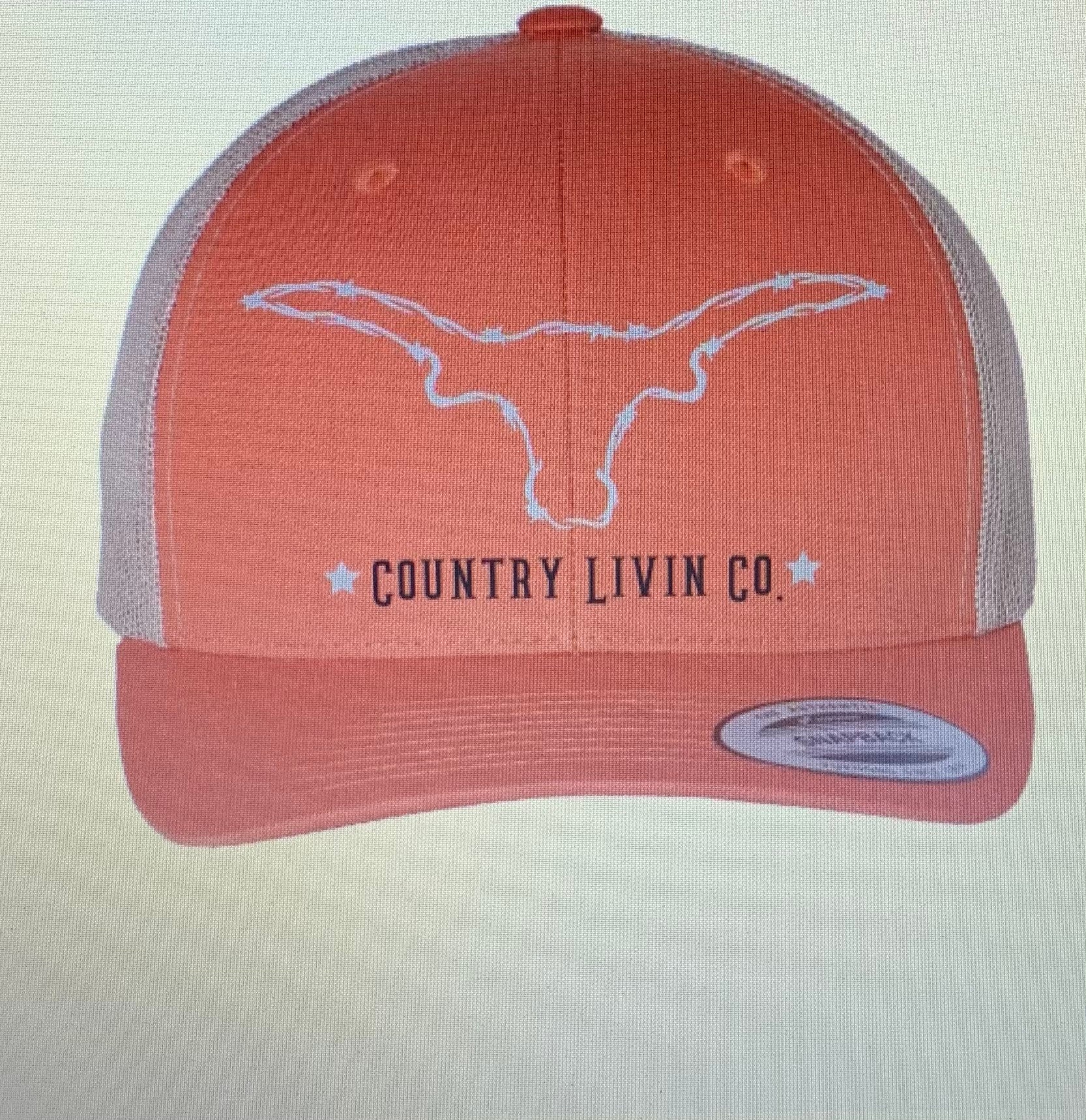 Bull Hat, Country Hat, Barb Wire Bull, Barb Wire Art, Cowboy Hat ...