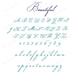 PES Script Embroidery Font Bundle, Machine Embroidery Font Pe, Monogram ...