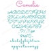 PES Script Embroidery Font Bundle, Machine Embroidery Font Pe, Monogram ...