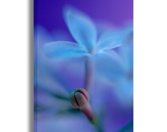 Close up Flower Art - Etsy