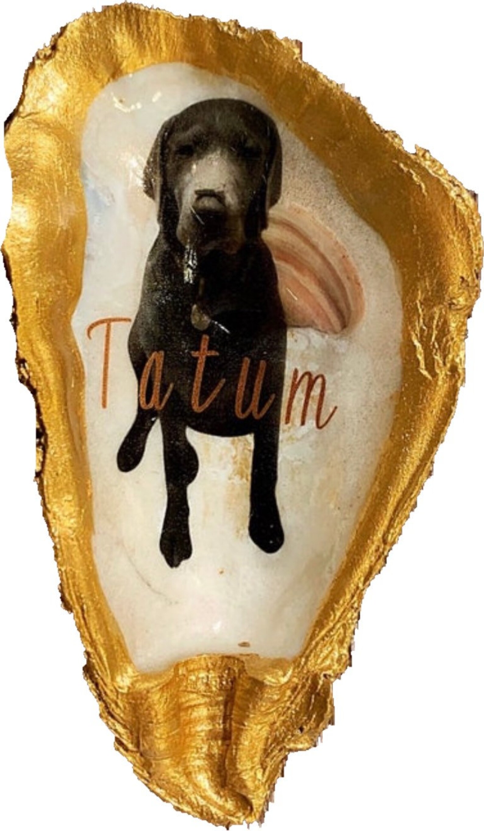 Dog Portrait Gift Oyster Shell Gift Dog Lovers Custom Order - Etsy