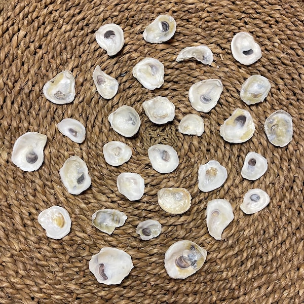 Baby Oyster Flats - Etsy