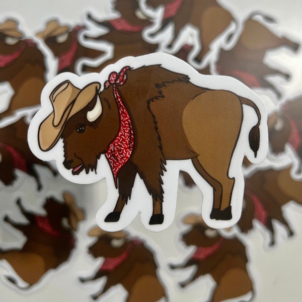 Western Style Flask - Etsy