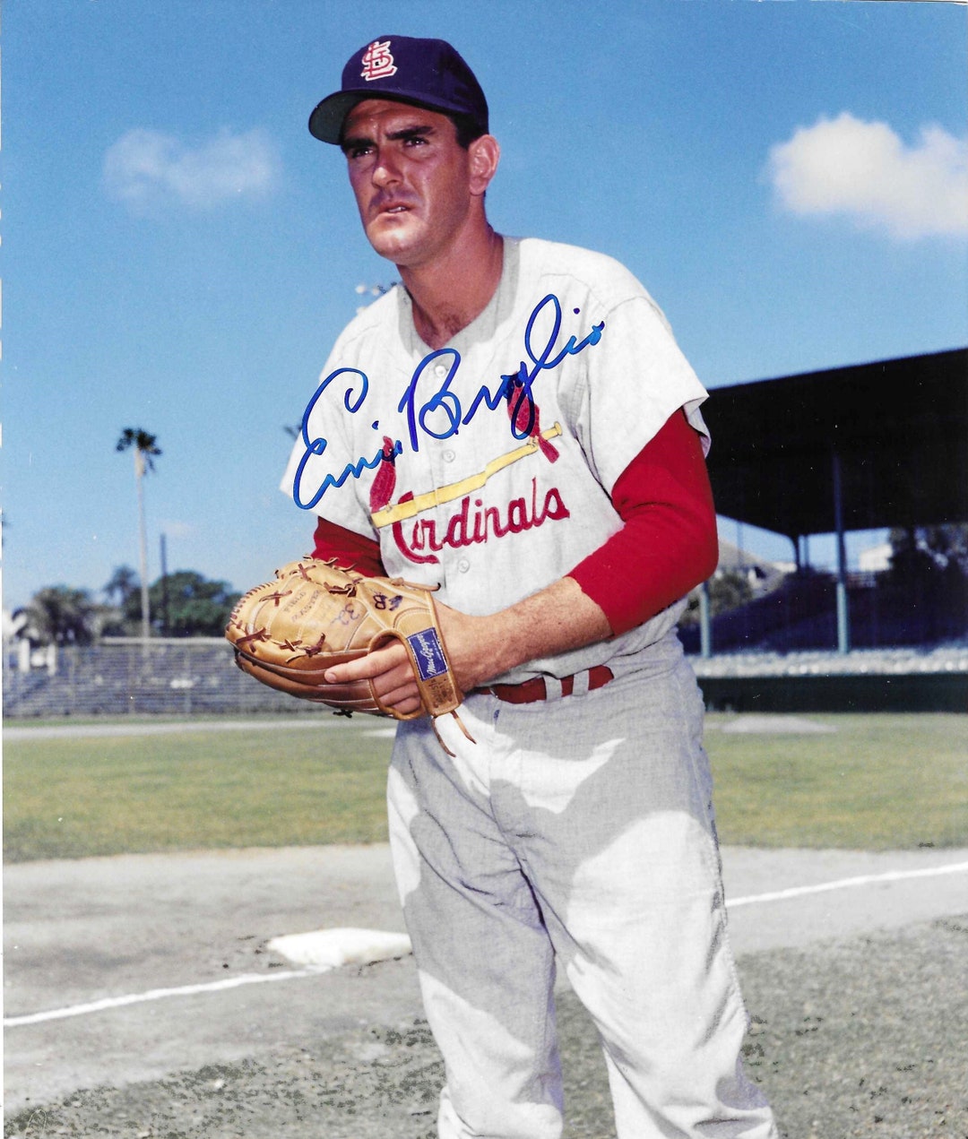 Ernie Broglio, St. Louis Cardinals, Signed 8x9.5 Photograph - Etsy