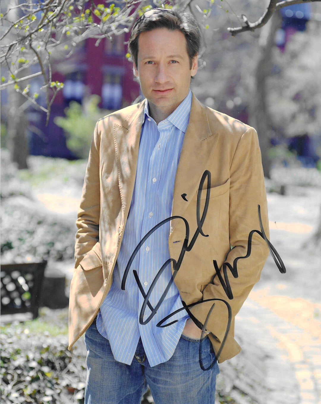 David Duchovny, Signed 8x10 Photograph - Etsy