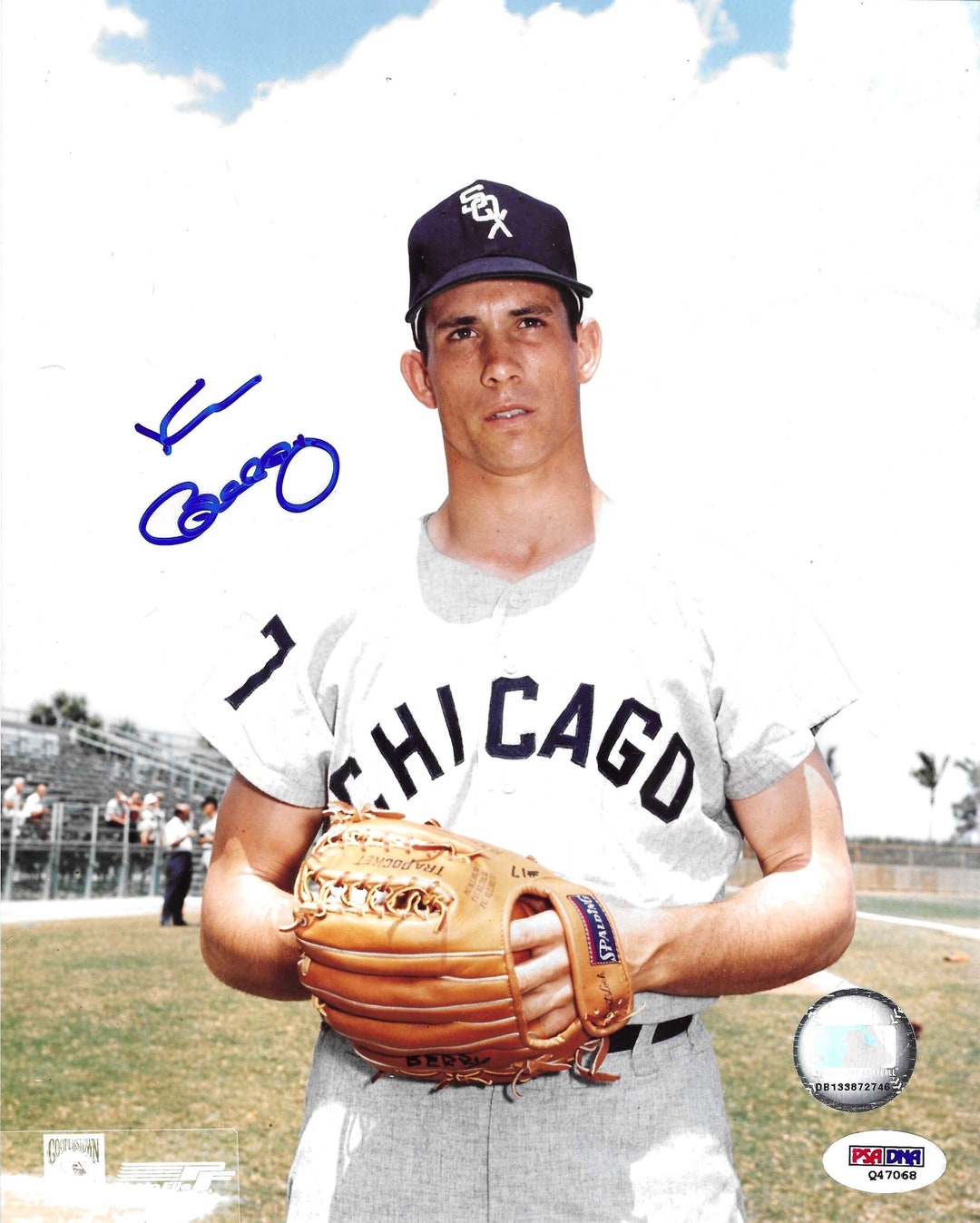 Ken Berry, Chicago White Sox, Signed 8x10 Photograph PSA/DNA Certified ...