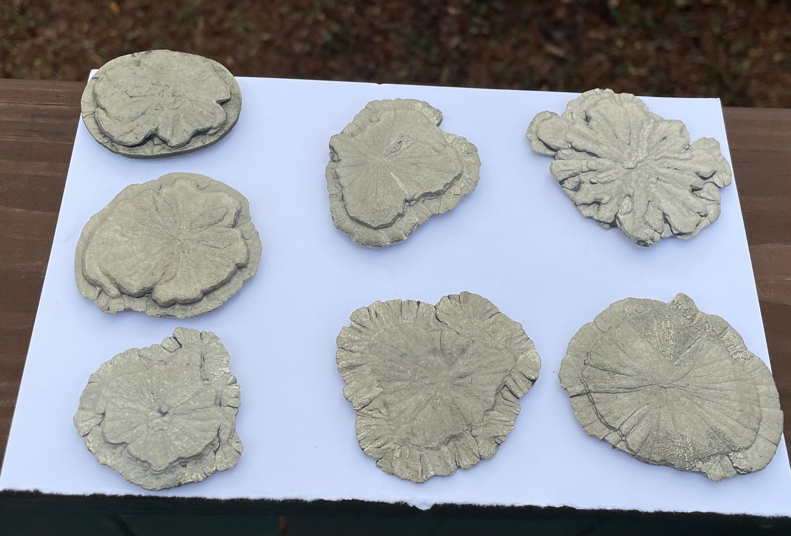 Pyrite Sun Disc - Sulphur Rich - Etsy