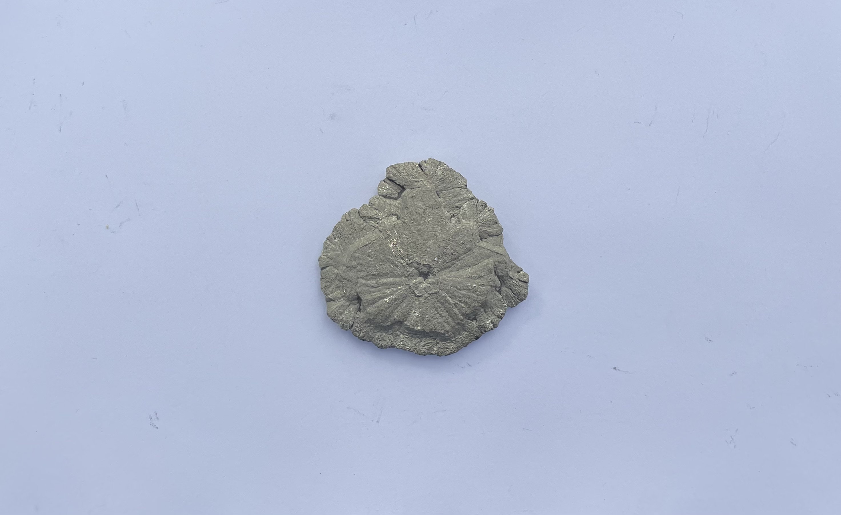 Pyrite Sun Disc - Sulphur Rich - Etsy
